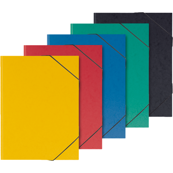 Folder A3 FACT!plus 10 pcs.5 colors, 42,28