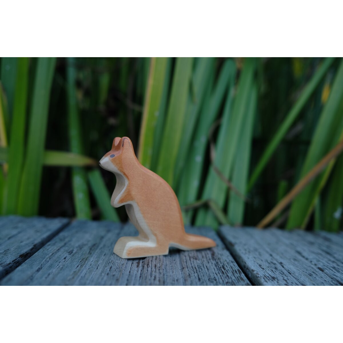 Kangaroo small, 12,03