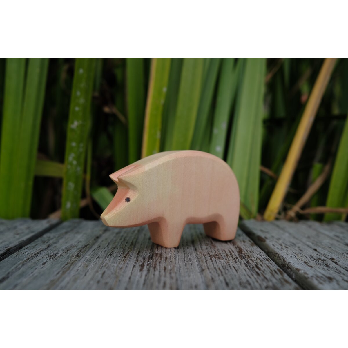 Pig trunk down, 10,02